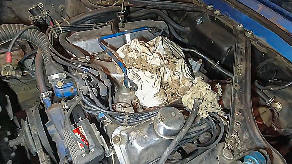 Barn Find Video: 1968 Mustang Fastback GT390