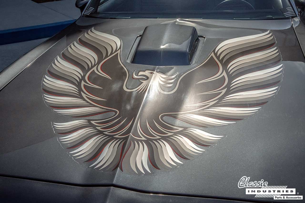 Discovering a Gem: The Story of a 1980 Pontiac Firebird Trans Am