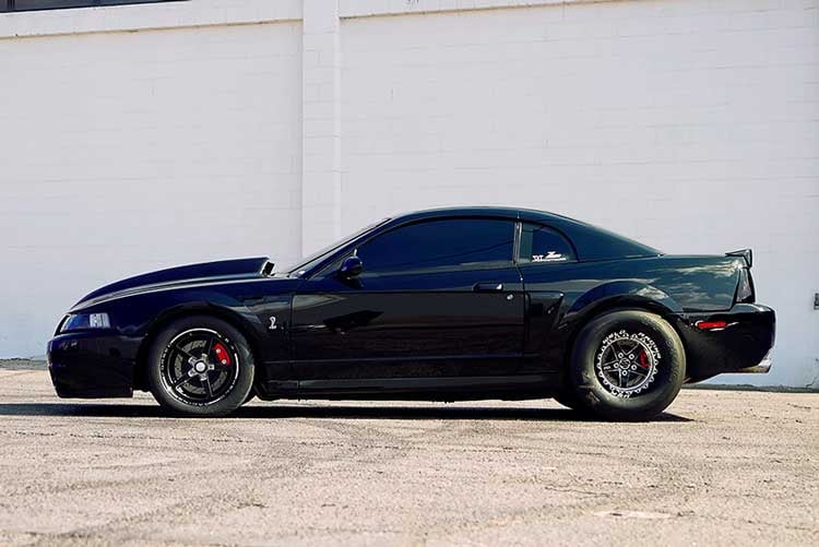 Video: 1000hp SVT Cobra Terminator